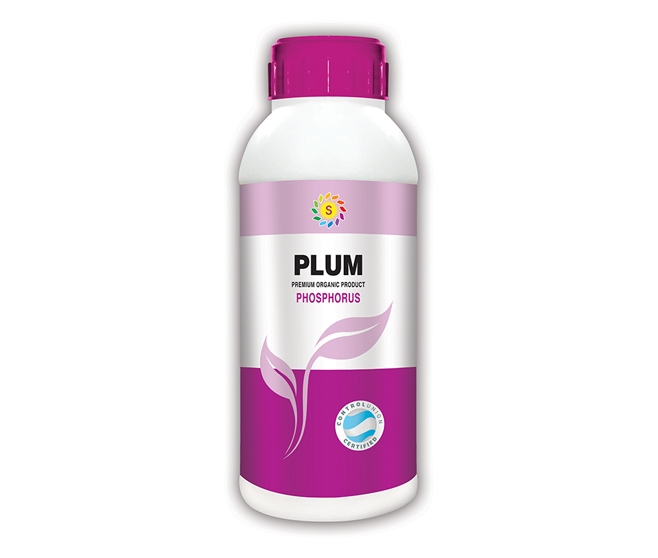Plum