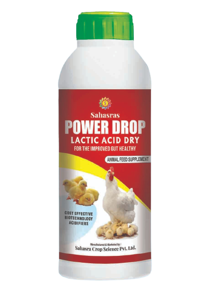 Animal Health & Nutrition